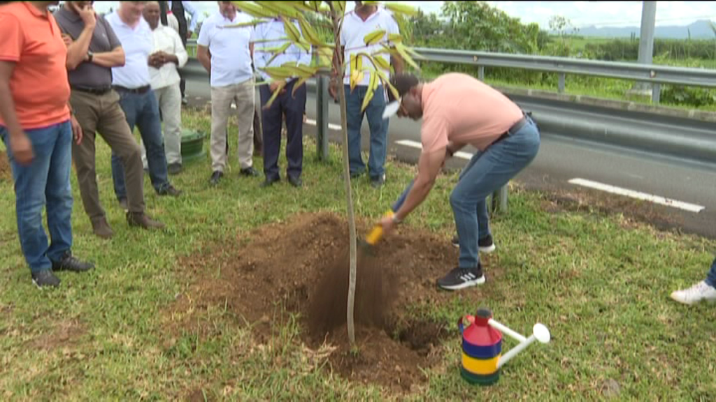 [VIDÉO] Plantation de 55 arbres par Business Mauritius et Omnicane sur ...
